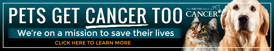 How to Avoid Cancer Causing Plastics | The Truth About Cancer